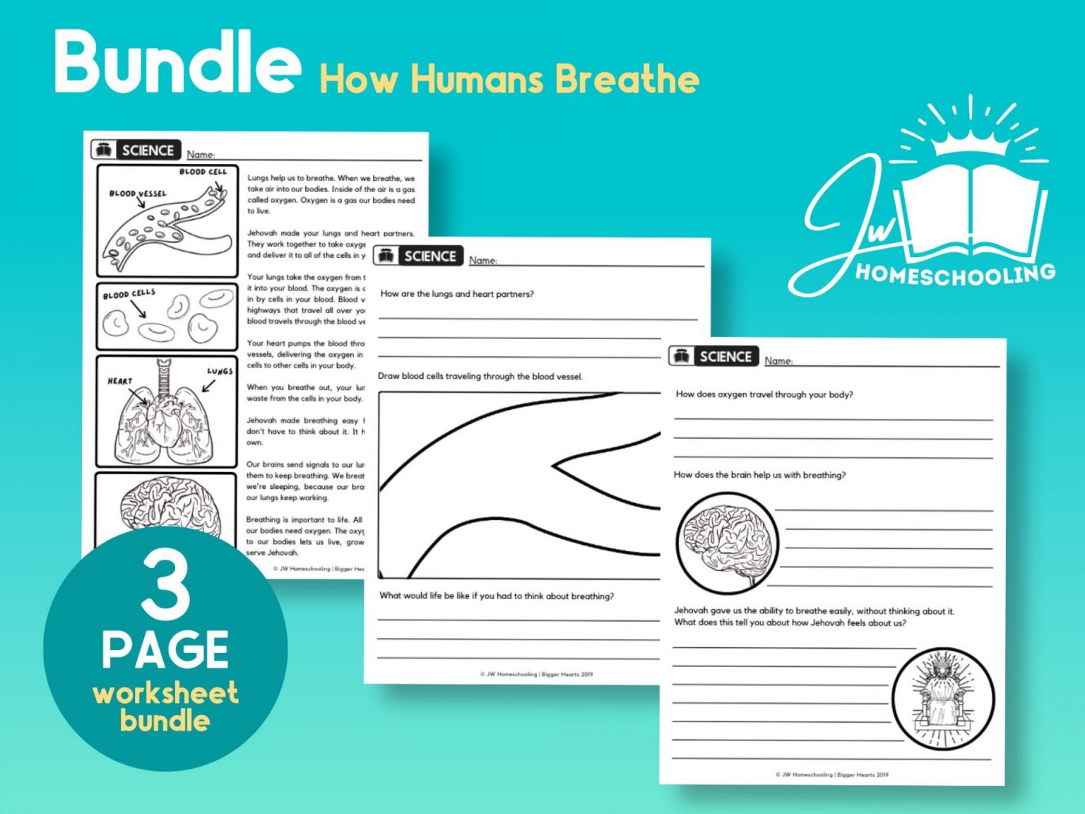 How Humans Breathe | JW Homeschool Worksheet - JW Printables